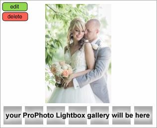 Blush Wedding Pictures | Wedding Photography Portfolio